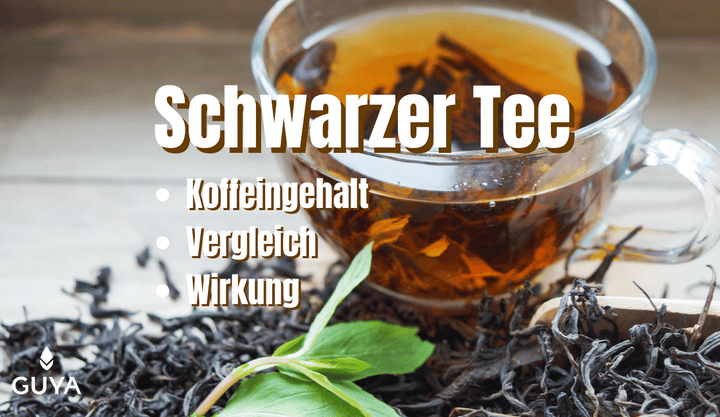Warum ist grüner Tee gesund? TOP 3 gesunden Tees!