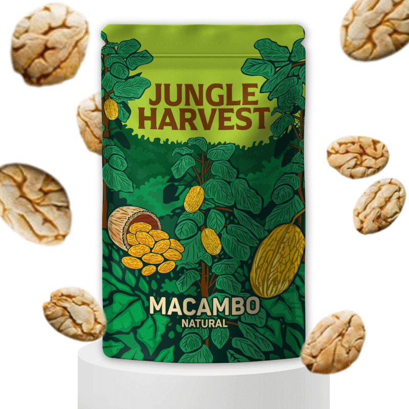 Macambo naturbelassen – Weißer Kakao, Pataxte, Jaguar Kakao aus Ecuador